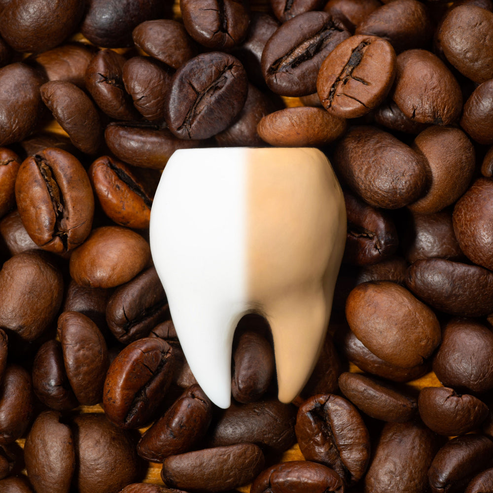 Tips to Prevent Teeth Staining from Coffee - Alex's Low-Acid Organic Coffee